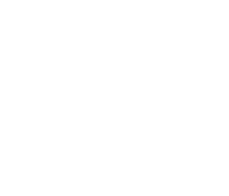 ACC / Africa Cargo Central / Logistique